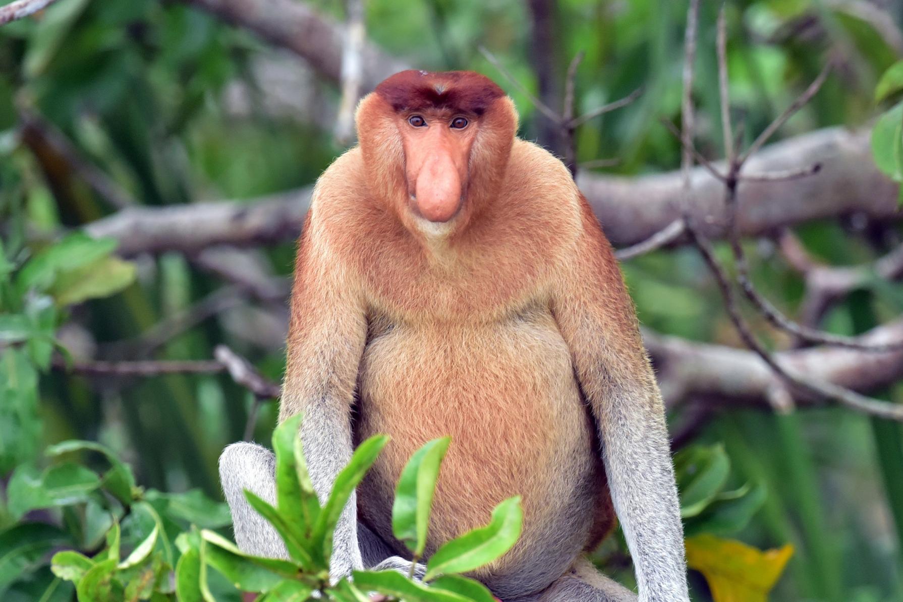 OroraTech: Detect, respond, protect. The leading wildfire management ...