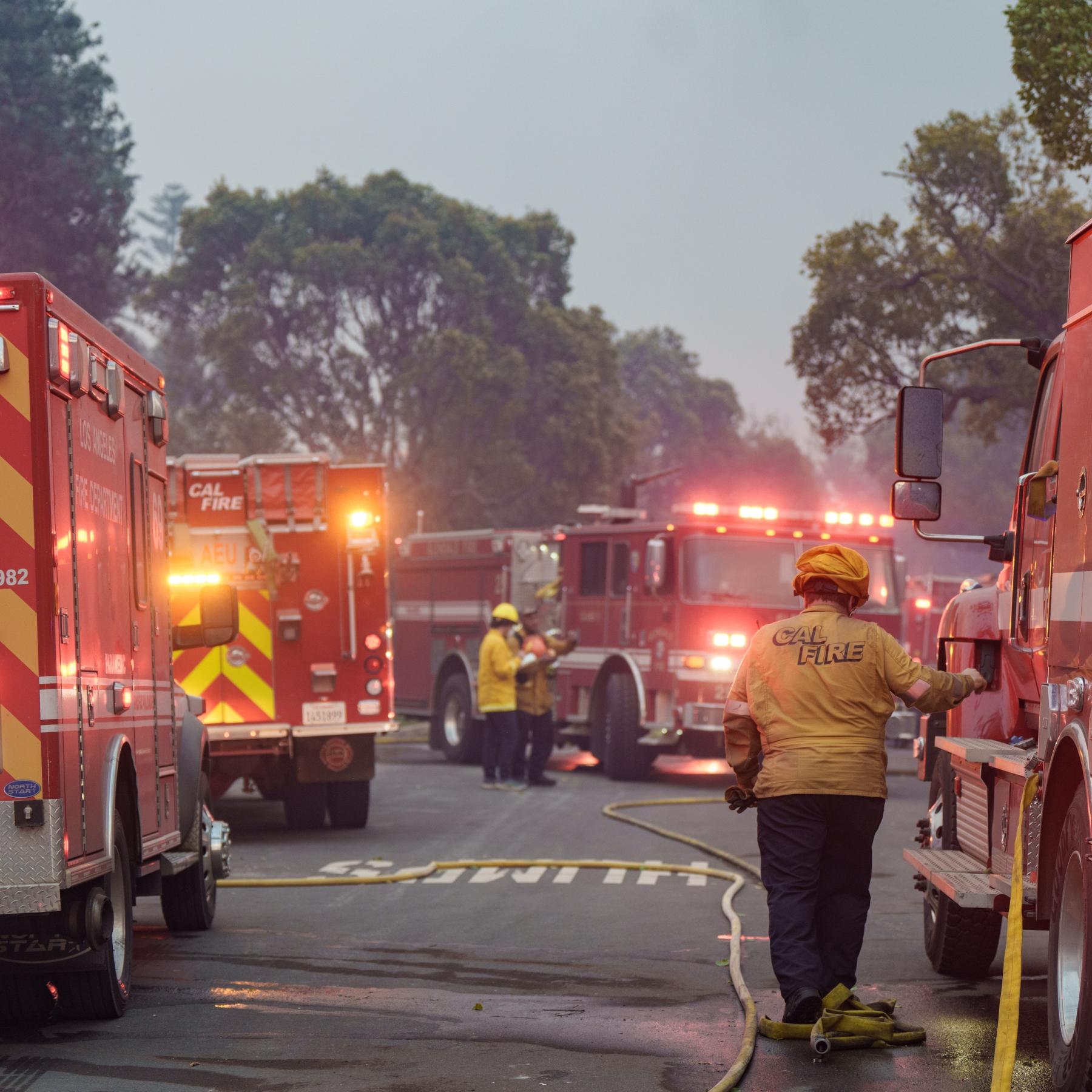 Palisades Fire 2025 Visualized | California’s Third-Most Destructive ...